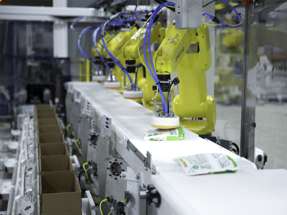 Automated Secondary Packaging & Customizable Solutions | Quest