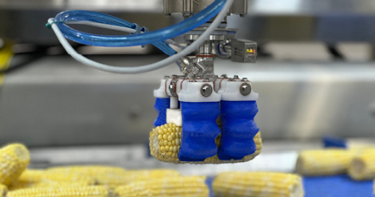 Direct Food Handling: Pick & Place Loaders, Orienters, Stackers | Quest