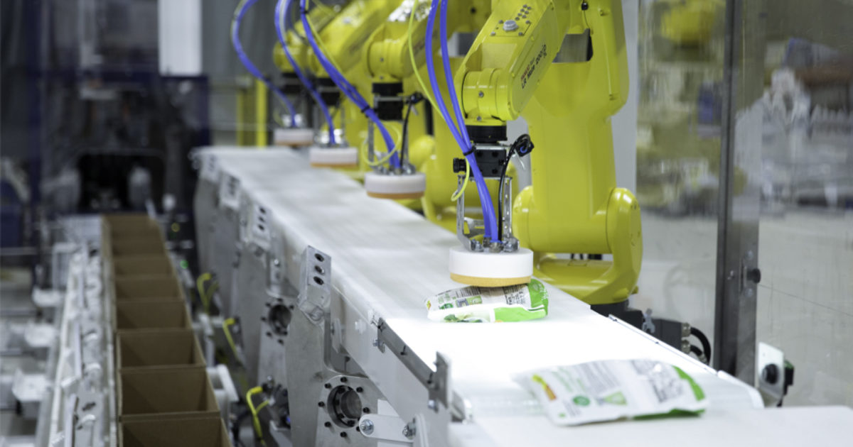 QP200 Case Packer - Robotic Case Packing & Packaging System | Quest