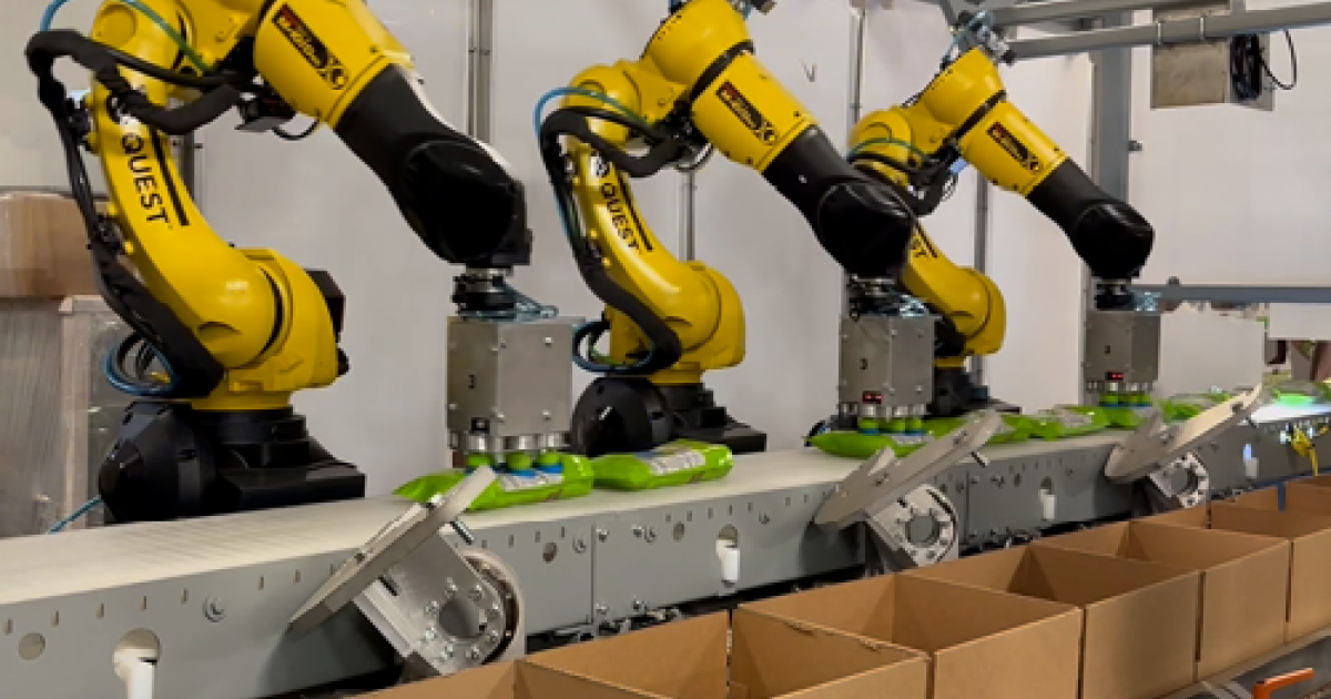 Automated Top Load Case & Carton Packing Equipment | Quest