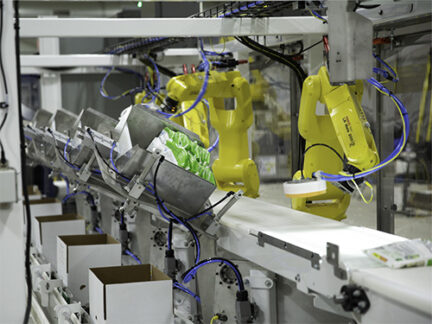 QP200 Case Packer - Robotic Case Packing & Packaging System | Quest