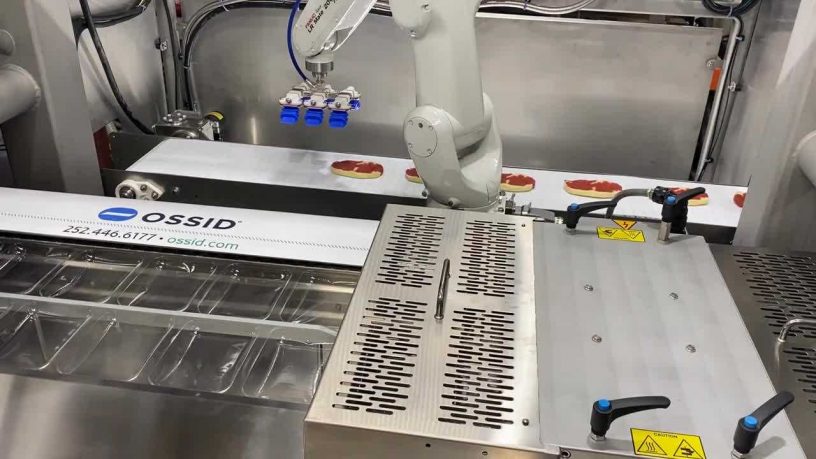 Primary Packaging Machine QP100 - Pick & Place Solutions | Direct Food ...