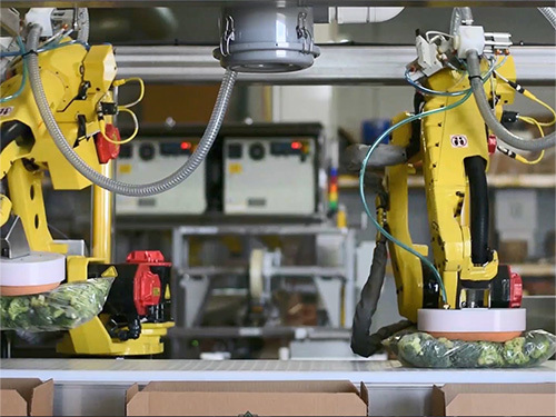 QP200 Case Packer - Robotic Case Packing & Packaging System | Quest